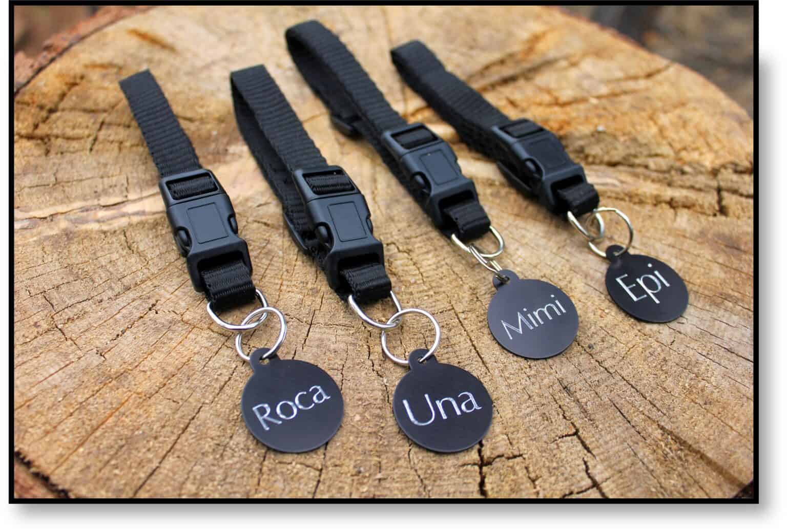 Engraved Stainless Steel Dog Collars: Adding Personalized Magic to Your ...